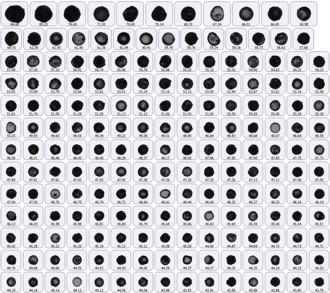 What about particle shape? - AlfatestLab
